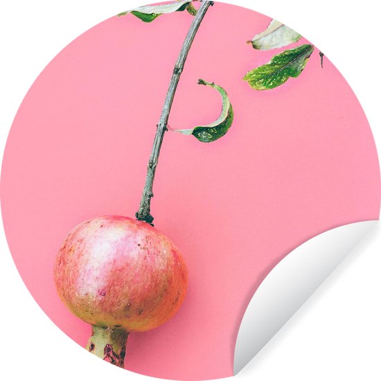 WallCircle - Muurstickers - Behangcirkel - Planten - Zomer - Roze - ⌀ 140 cm -... | bol
