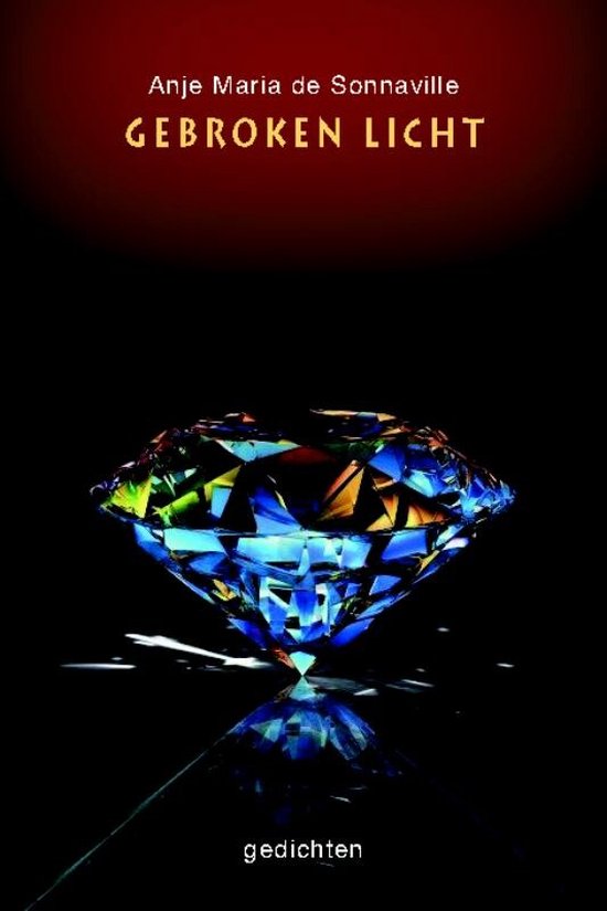 Gebroken Licht, Anje Maria de Sonnaville | 9789076890388 | Boeken | bol