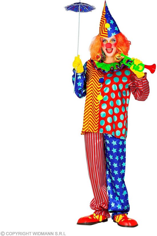 Clown & Nar Kostuum | Hilarische Knotsgekke Clown Kostuum | Medium ...