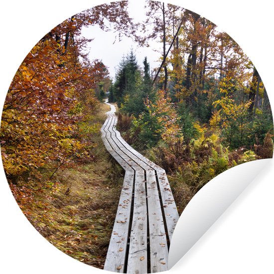 Houten loopbrug door het bos in het Nationaal Park Bayerischer Wald ...