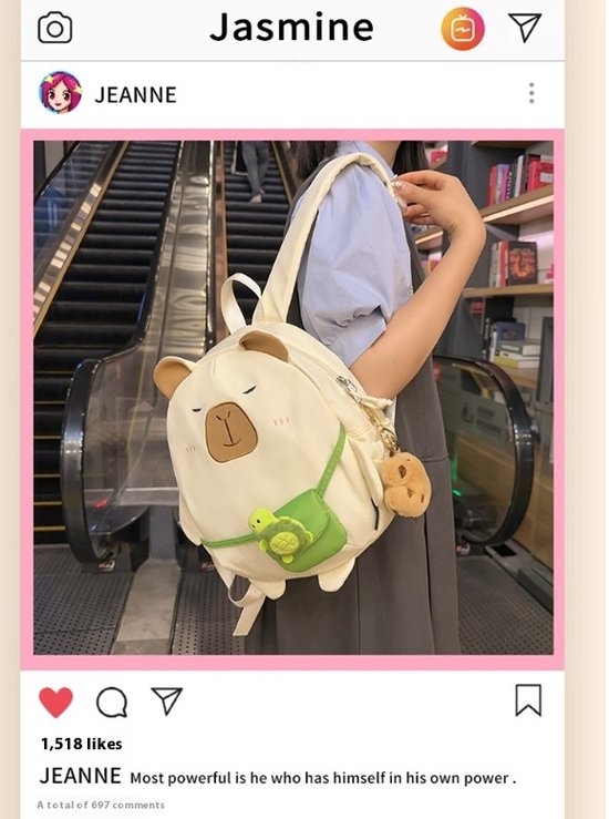 Capybara rugzak - 15l geschikt voor laptopvak - met capybara hanger ...