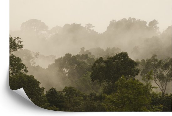Fotobehang Bos In Mist | bol.com