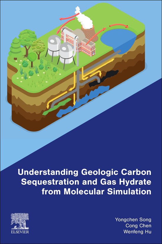Understanding Geologic Carbon Sequestration and Gas Hydrate from ...