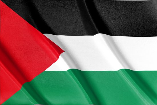 Palestijnse vlag - 100x70 cm - Palestina vlag - Duurzame vlag | bol