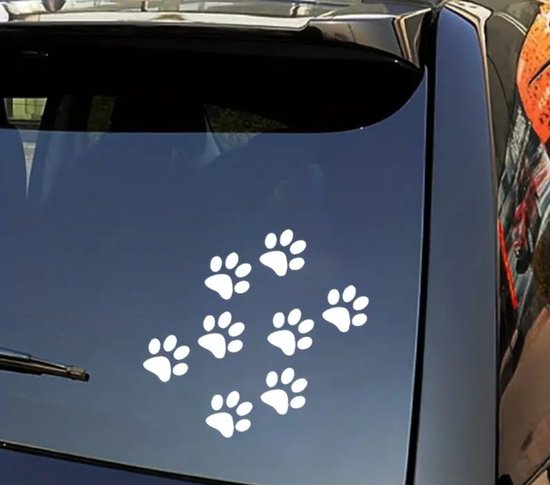 Auto stickers (poot) | bol