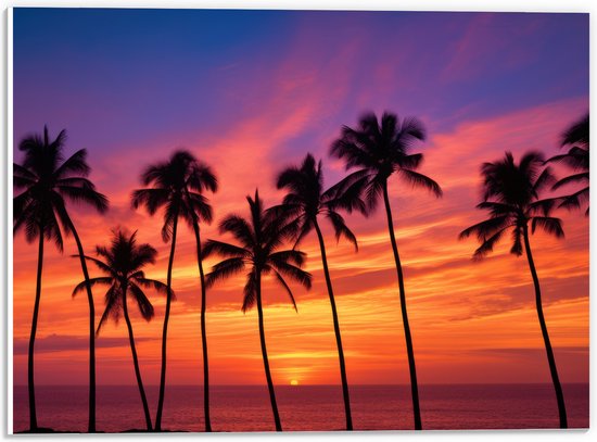 PVC Schuimplaat - Silhouet van Hoge Smalle Palmbomen bij Feloranje ...