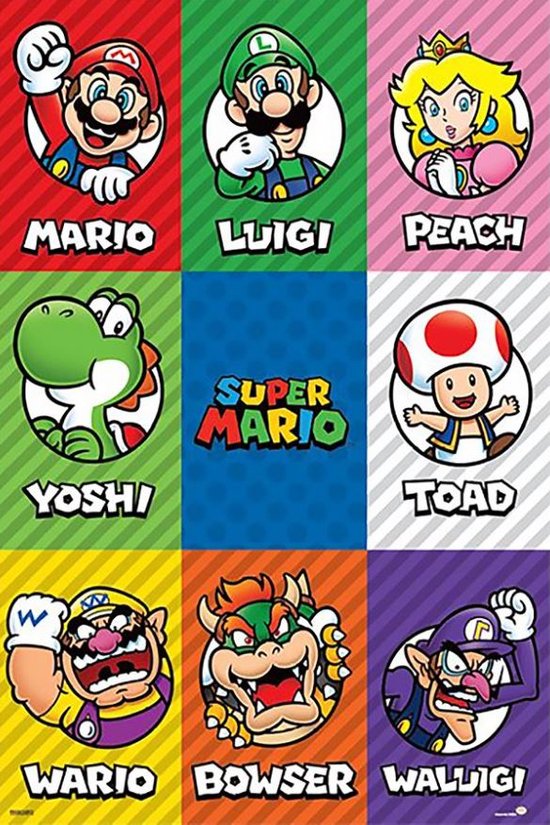 Nintendo Super Mario List Of Characters Poster 61x915 Super+Mario