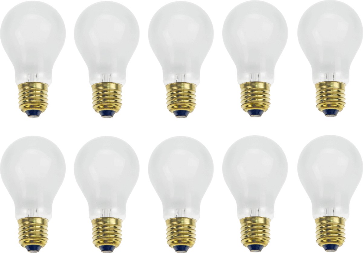 10x Gloeilamp | Grote fitting E27 | 60W Mat | bol.com