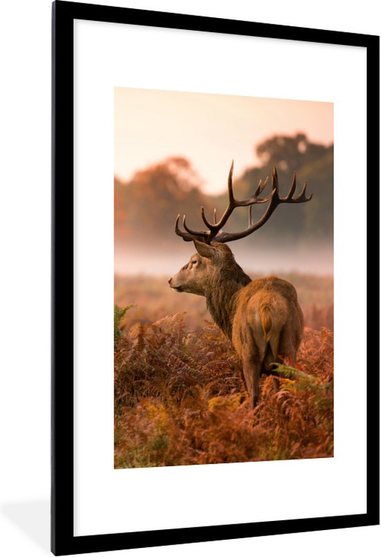 Fotolijst incl. Poster - Hert - Mist - Herfst - 80x120 cm - Posterlijst ...
