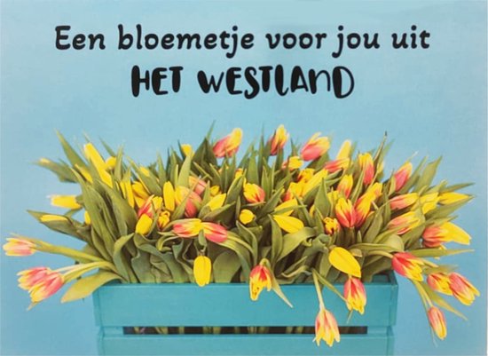 Kaart - Groeten uit - Een bloemetje voor jou uit het Westland - GRD042 ...