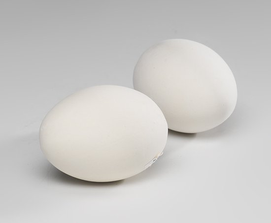 Natural - Duif - DUIVENEI PLASTIEK HOL, 20ST 4,5x14x22,5cm | bol