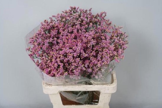 DutchFlowers - Boeket - 25x Limonium anouchka diamond 60cm | bol