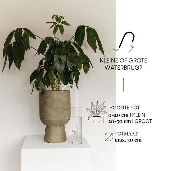 Re-Plant’it Waterbrug - Automatisch Watergeef Systeem - Water Feeder ...