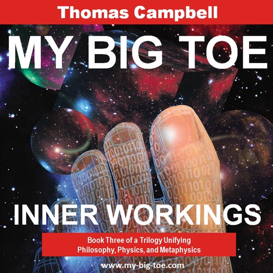 My Big TOE 3 - My Big TOE - Inner Workings H (ebook), Thomas Campbell ...