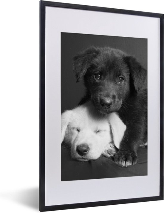 Fotolijst incl. Poster - Honden - Puppy - Zwart - Wit - Dieren - 40x60 ...