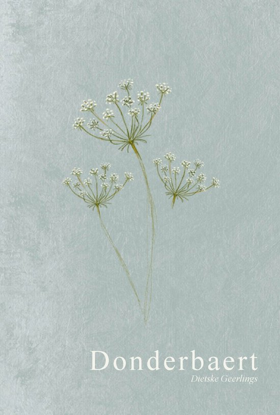 Donderbaert, Dietske Geerlings | 9789083181318 | Boeken | bol