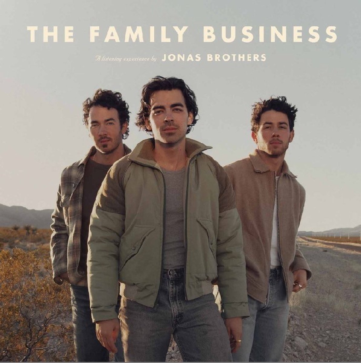 Jonas Brothers - The Family Business (CD), Jonas Brothers | Muziek | bol