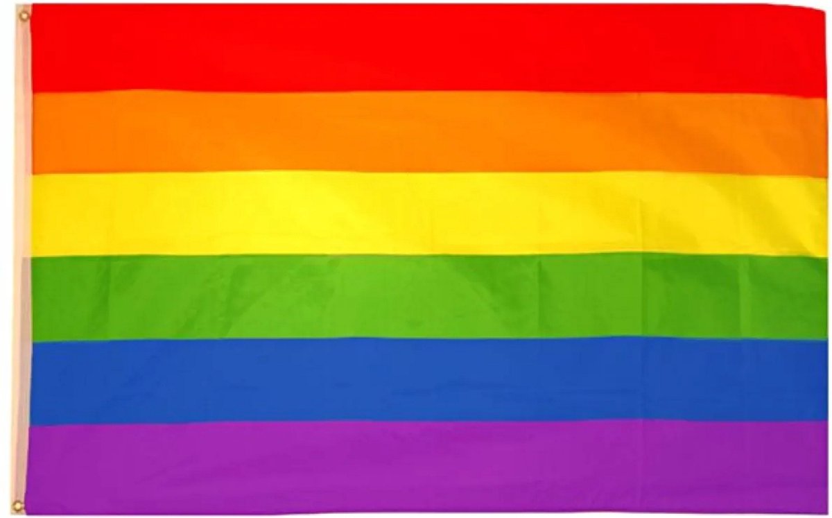 Regenboog Vlag - XL | bol