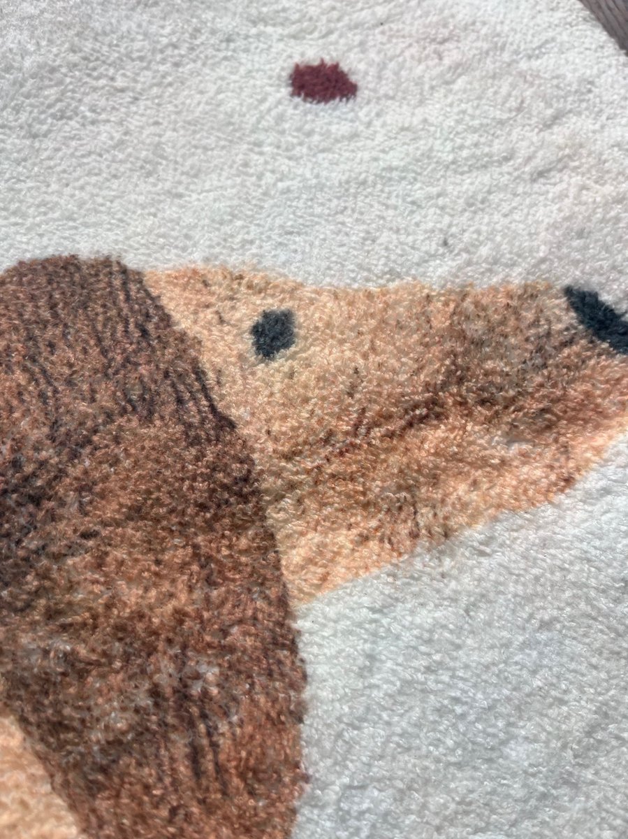 Teckel - deurmat - mat - tapijt - hond - zacht - 40x60cm | bol.com