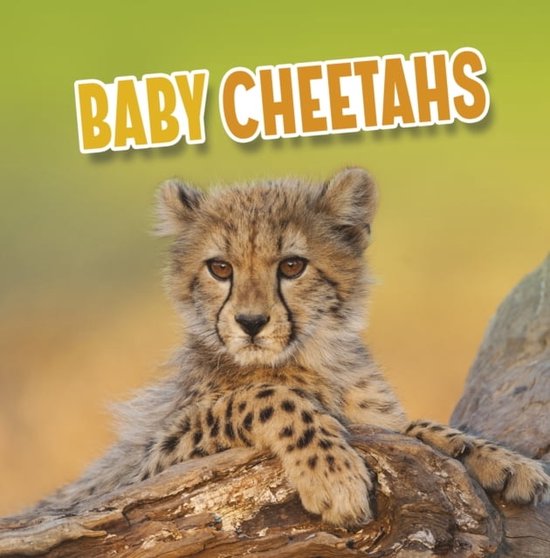 Baby Cheetahs (ebook), Martha E. H. Rustad | 9781398223844 | Boeken ...