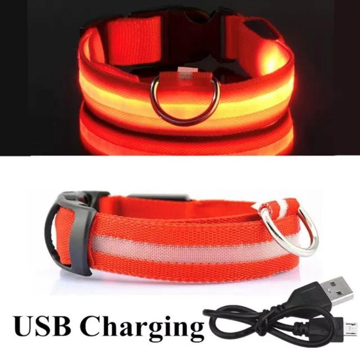 Halsband hond met LED licht - USB oplaadbaar - Hondenlamp - Leiband ...
