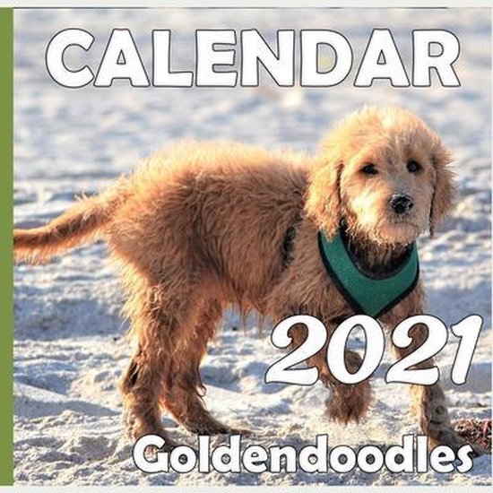 Goldendoodles 2021 Calendar: Official Dogs Breed 2021 Calendar, Dogs ...