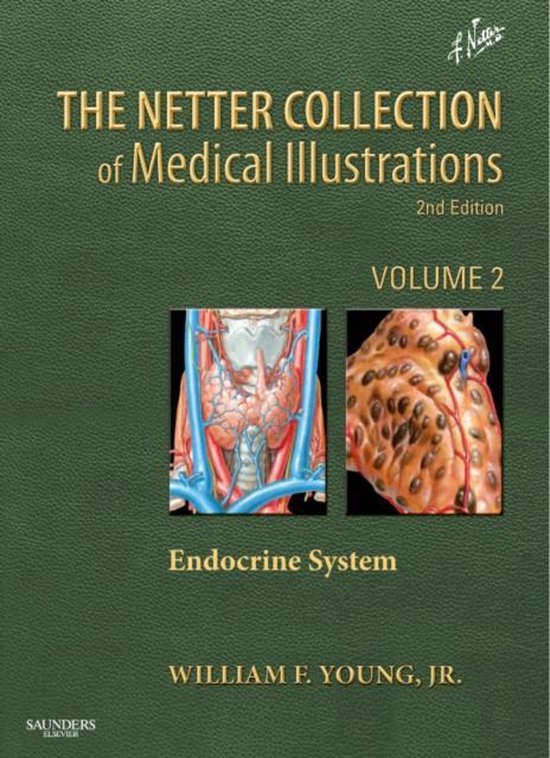 Netter Coll/Med Ills Endocrine Sy | 9781416063889 | William F. Young ...