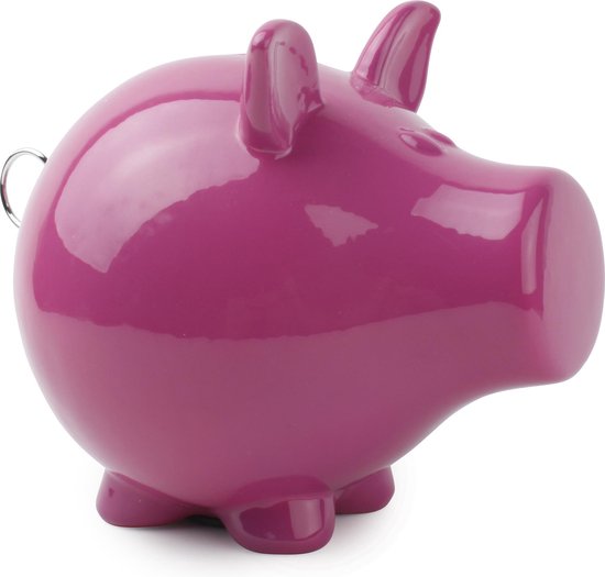 S&P OINK spaarvarken Fuchsia (klein) | bol.com
