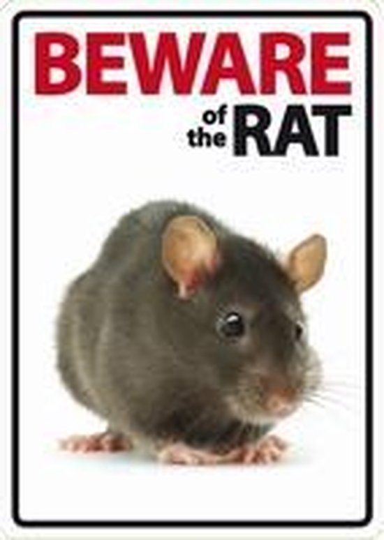 Beware of the Rat | bol