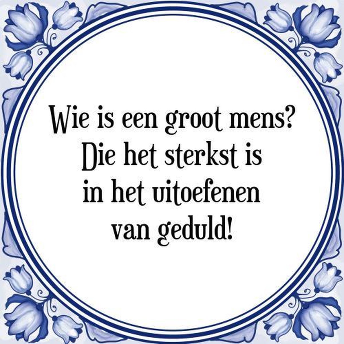 Tegeltje met Spreuk (Tegeltjeswijsheid): Wie is een groot mens? Die het sterkst is in... | bol.com