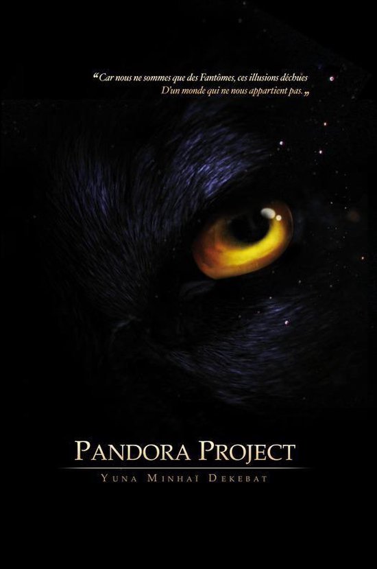 Pandora Project (ebook), Yuna Minhaï Dekebat | 9782954854922 | Boeken ...
