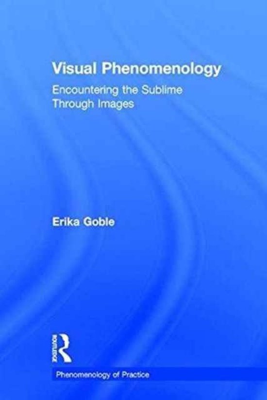 Visual Phenomenology | 9781138208391 | Erika Goble | Boeken | bol.com