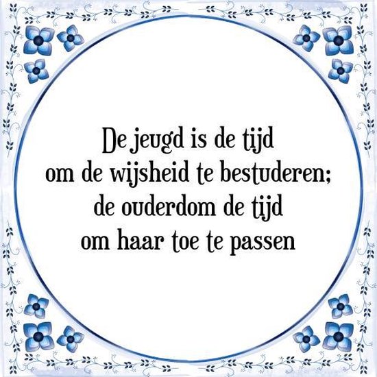 Tegeltje met Spreuk (Tegeltjeswijsheid): De jeugd is de tijd om de ...