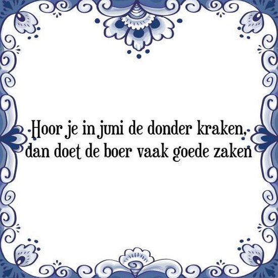 Tegeltje met Spreuk (Tegeltjeswijsheid): Hoor je in juni de donder ...