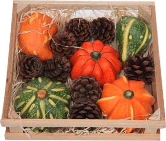 Sierpompoenen als herfsdecoratie - set van 2 stuks | bol