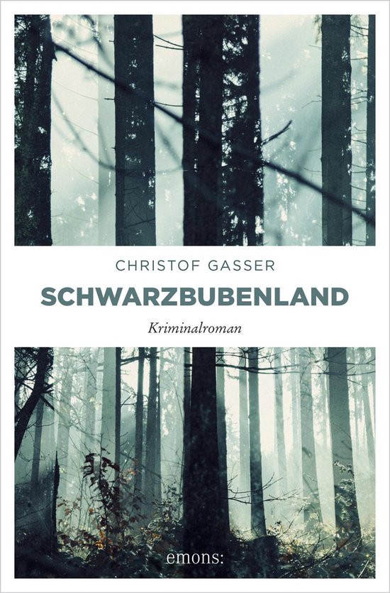 Cora Johannis 1 - Schwarzbubenland (ebook), Christof Gasser ...