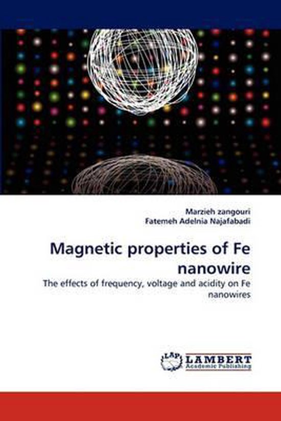 Magnetic Properties of Fe Nanowire | 9783843392525 | Marzieh Zangouri | Boeken | bol.com