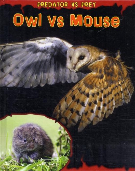Owl vs Mouse | 9781406218664 | Mary Meinking | Boeken | bol.com