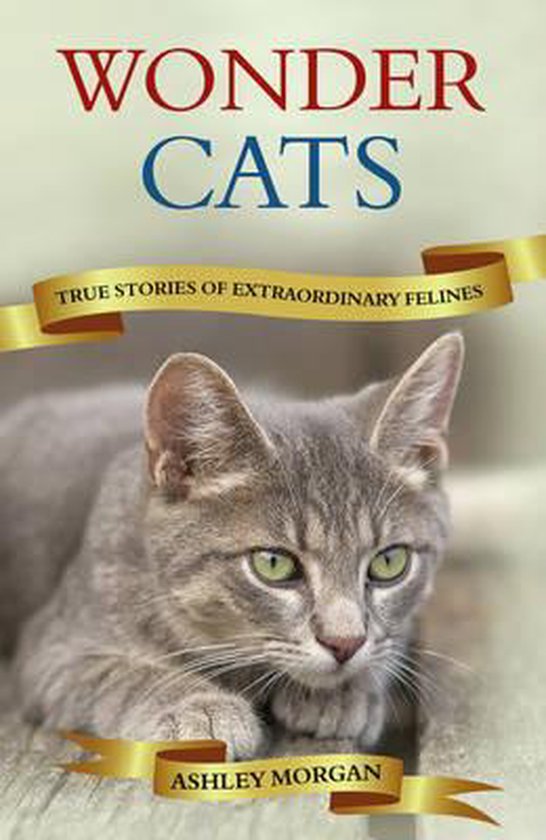 Wonder Cats, Ashley Morgan | 9781849530422 | Boeken | bol.com