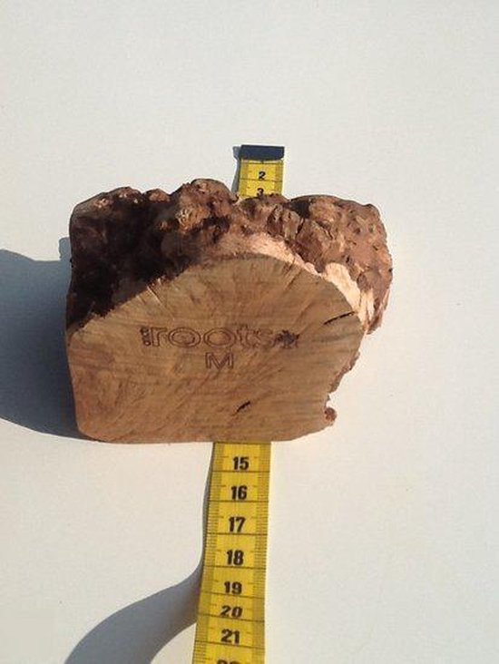 ANCO Roots kauwwortel M | bol.com