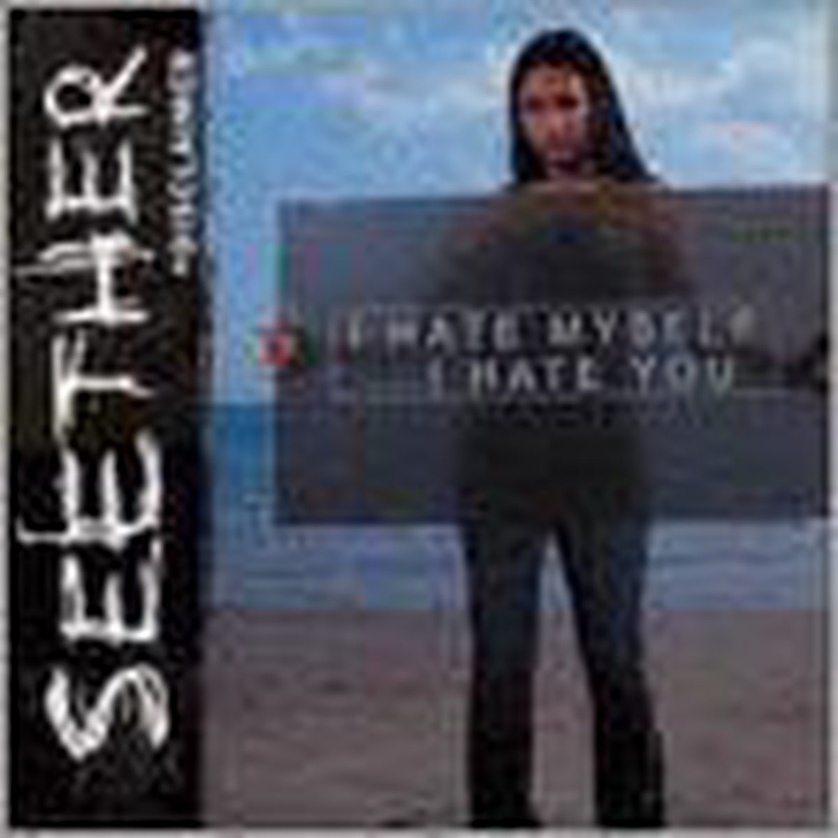 Disclaimer, Seether | CD (album) | Muziek | bol