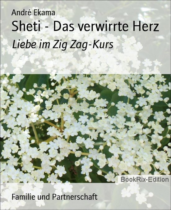 Sheti - Das verwirrte Herz (ebook), Andre Ekama | 9783730933657 ...