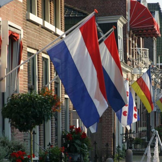 Dokkumer Vlaggen Centrale - Vlaggenstok met knop - Aluminium 150 cm ...