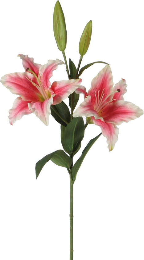 Mica Flowers lelie casablanca maat in cm: 80 donkerroze | bol.com