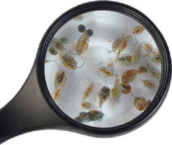 6 zakjes levende copepods | bol