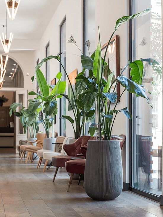 Hoge pot Ridged Vertical Patt High S Dark grey 29x43 cm hoge ronde ...