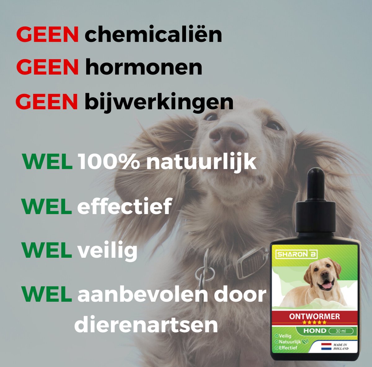 Ontworming hond - 100% natuurlijk - ontwormingsmiddel - tegen alle ...