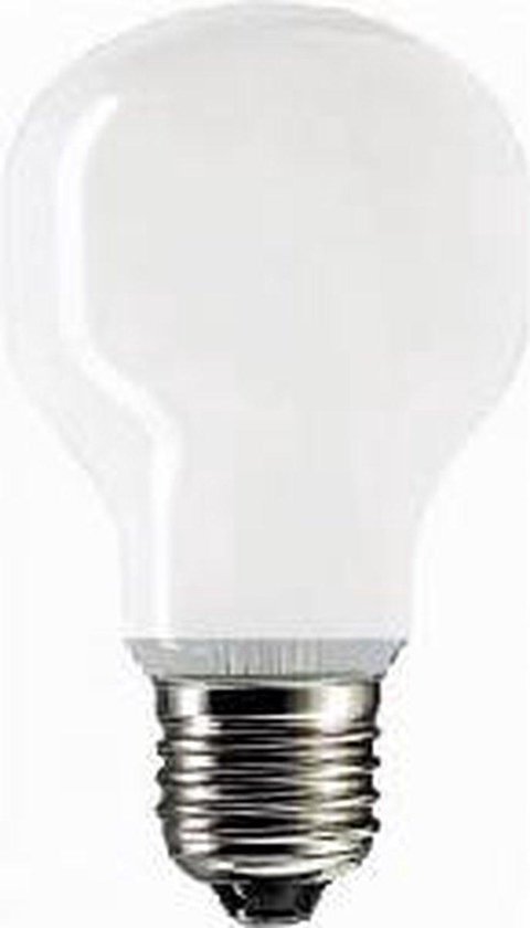 Philips Hue 75 W Philips Soft White 60W E27 Opal Light Bulb - T55 Shape ...