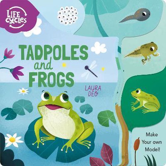 Life Cycles- Tadpoles and Frogs, Annabel Savery | 9781838579975 ...
