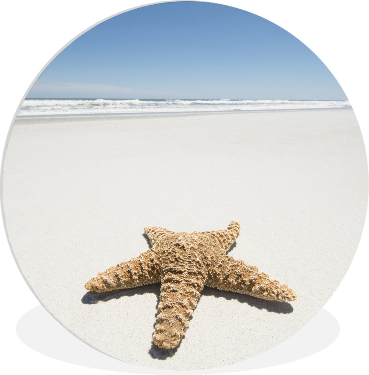 WallCircle - Wall Circle - Wall Circle Indoor - Étoile de Mer - Plage ...